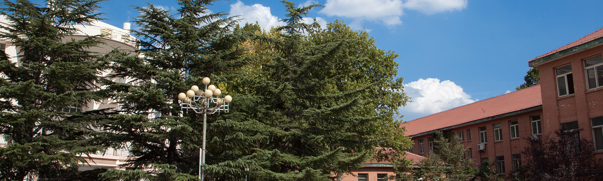 Shandong University of Science and Technology(Jinan)